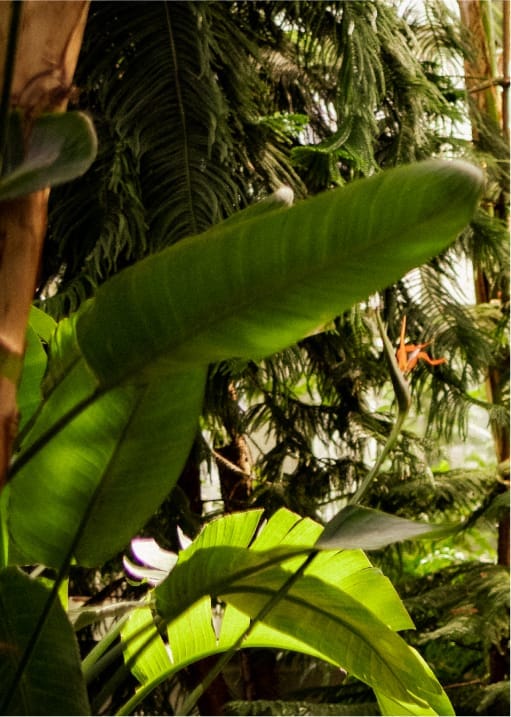 Kaizen Labs | Digital parks and recreation experiences