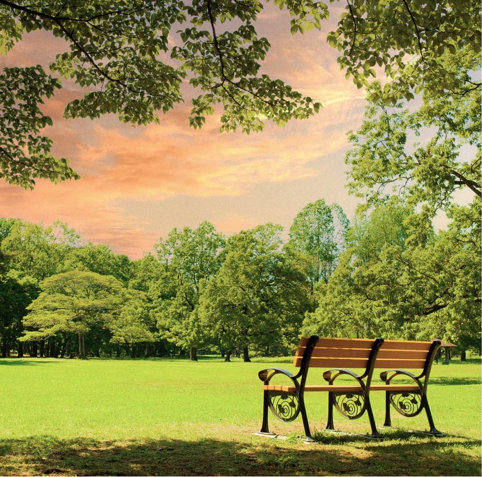 Kaizen Labs | Digital parks and recreation experiences